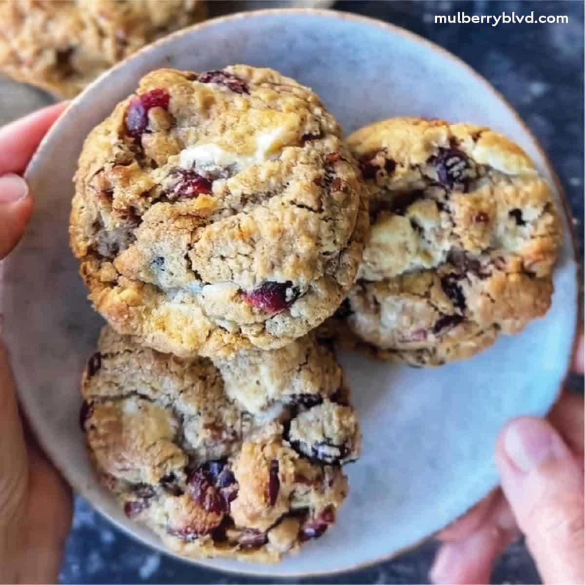 White Chocolate Cranberry Cookies (with recipe video) - Mulberry Blvd
